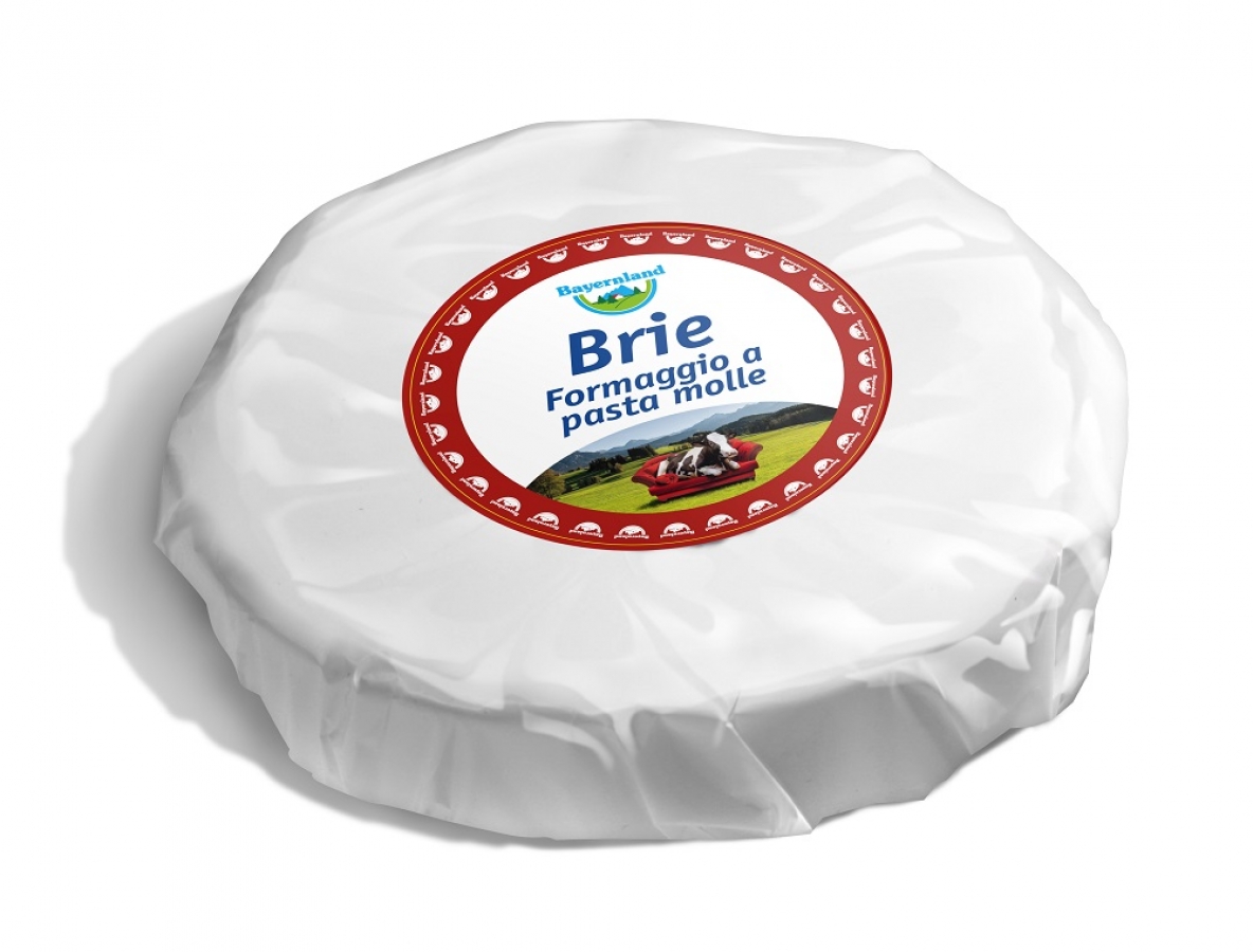 Bellatte - FORMAGGIO BRIE DA 1 KG